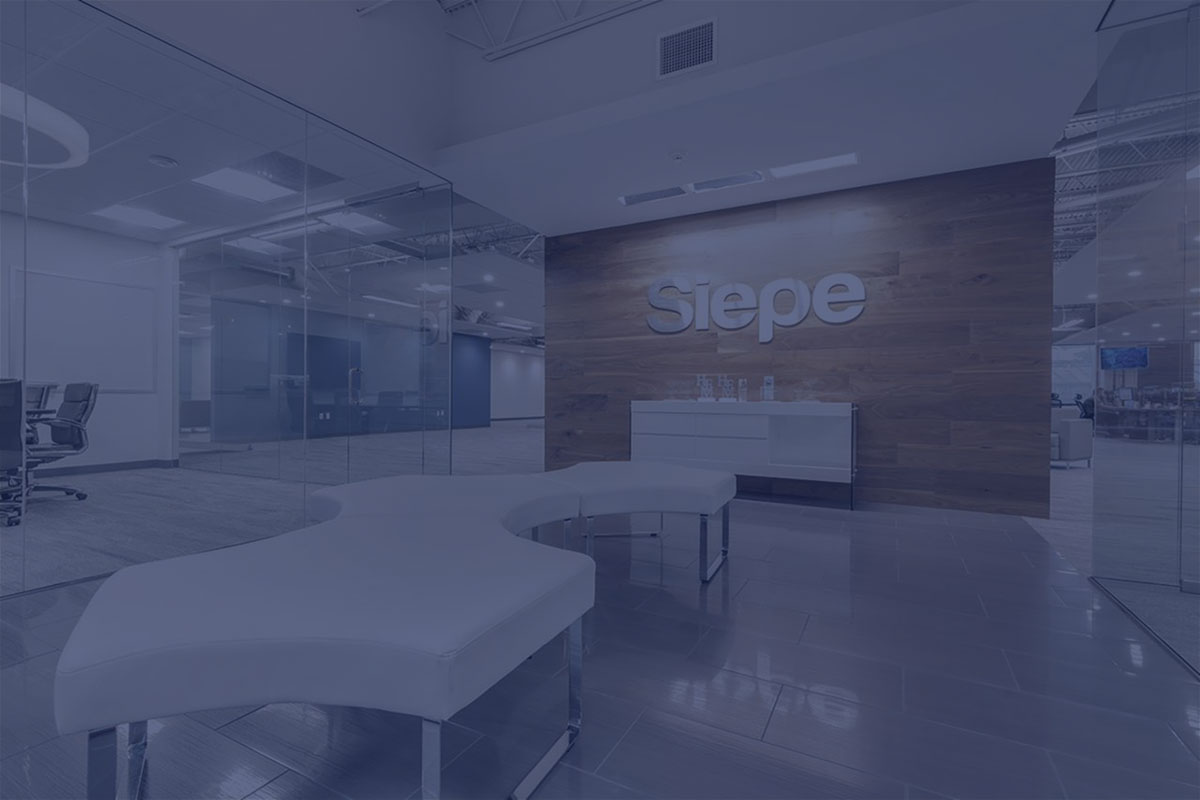 Data Driven. Performance Focused. - Siepe