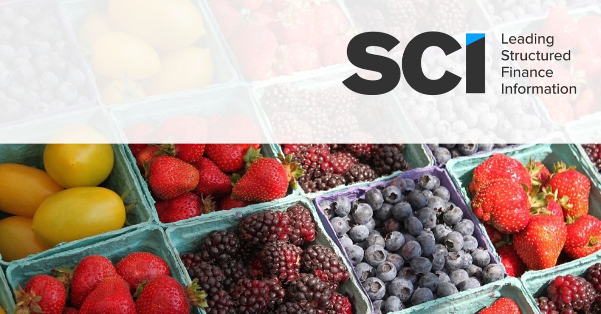 Structured Credit Investor: CLO Manager Differentiation Eyed - Siepe